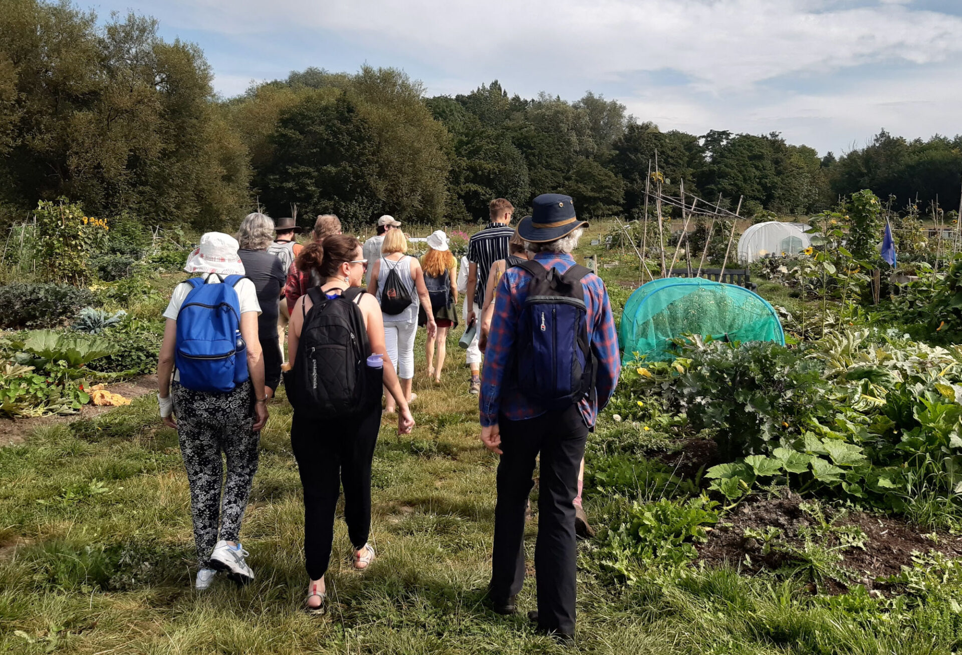 'Food on Our Plates' Walk - Transition Bath